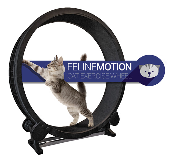 Feline Motion Cat Exercise Wheel / Cat Treadmill [Cat Ferris Treadmill ...